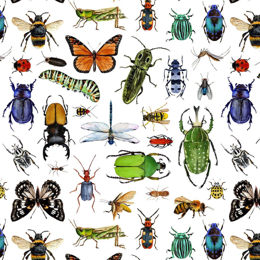 Bugs, Butterflies and Insects Fabric - Quilting Cotton, Organic Knit ...