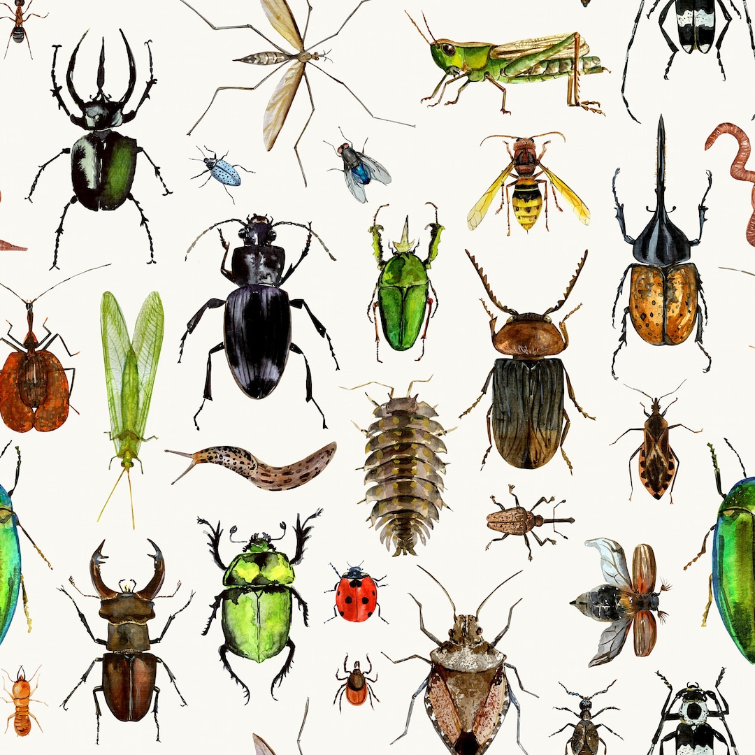 Bug Fabric - Creepy Crawlers Bug and Insects, Boys, Beetles - Quilting ...