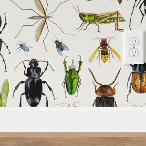 Bugs and Insects Wallpaper Nature, Bee, Beetle, Adventure Boys Room ...