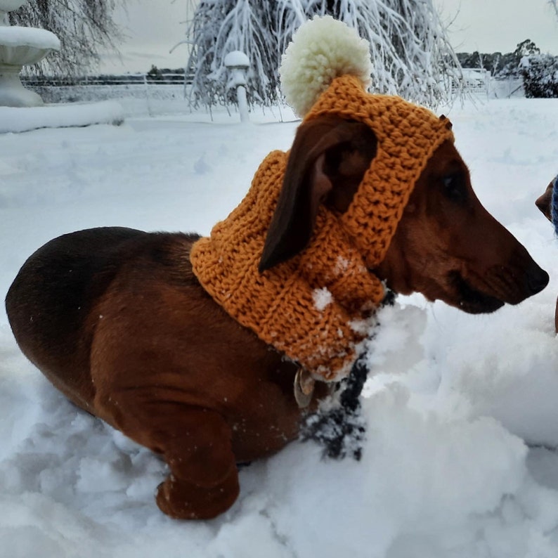 Dog Beanies Crochet Sausage Dog Dachshund Weiner Dog - Etsy