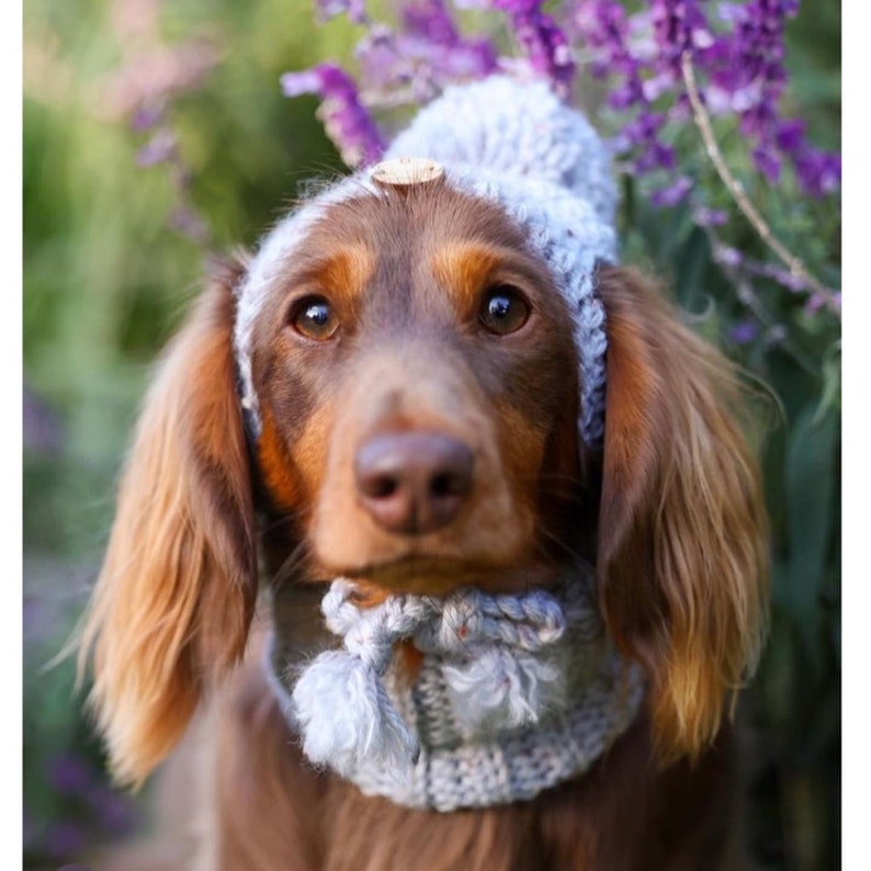 Dog Beanies Crochet Sausage Dog Dachshund Weiner Dog - Etsy