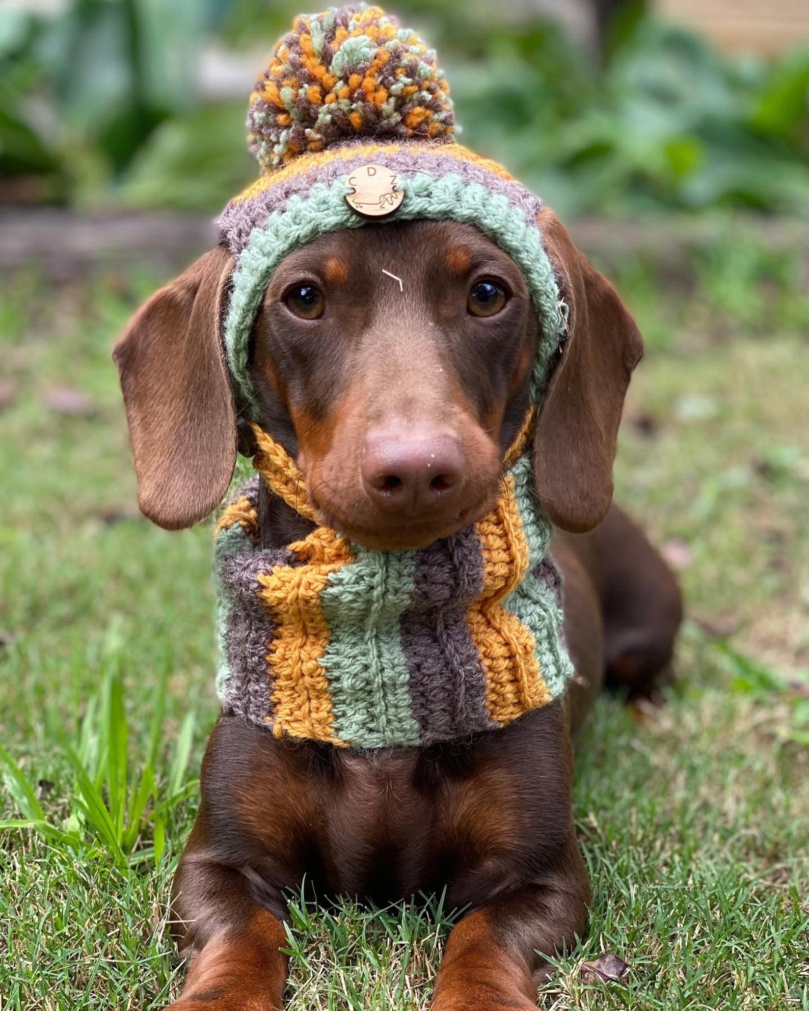 Dog Beanies Crochet Sausage Dog Dachshund Weiner Dog - Etsy