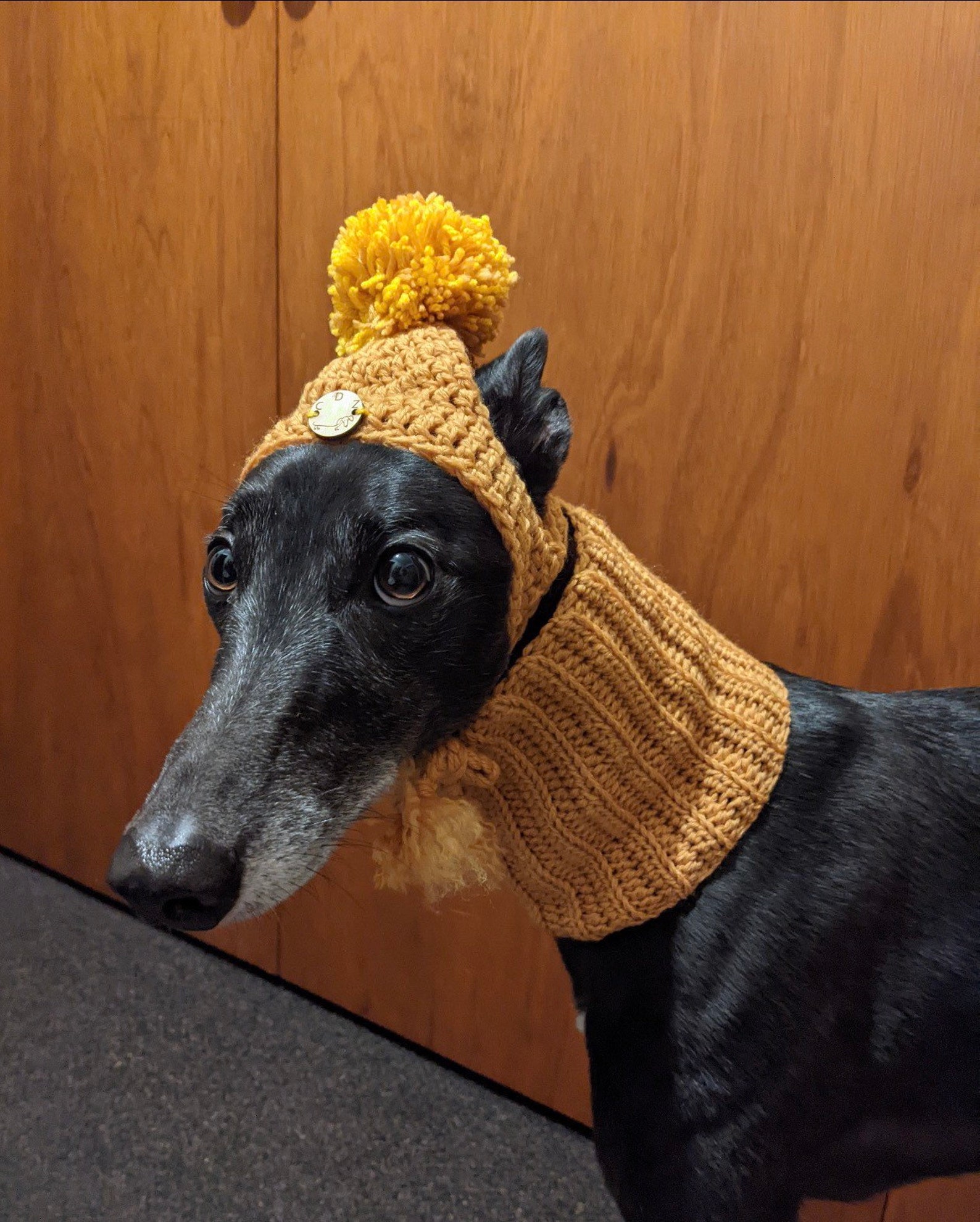 Dog Beanies Crochet Sausage Dog Dachshund Weiner Dog - Etsy