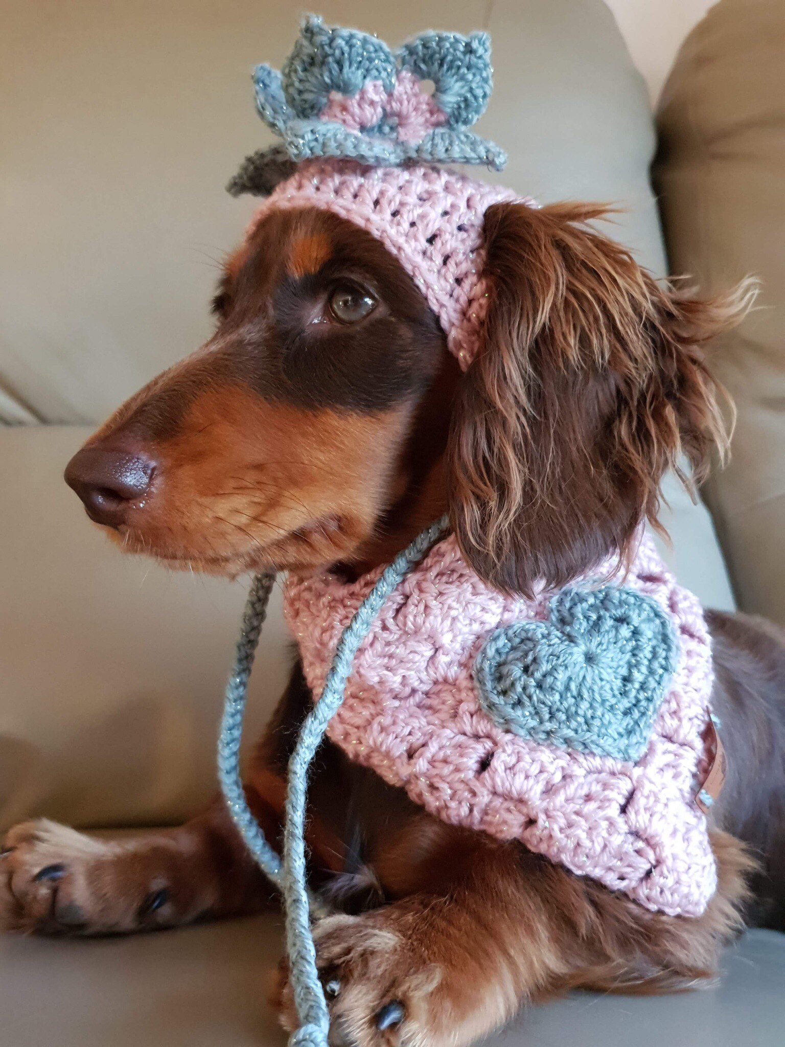 Dachshunds Dog Hats Sausage Dogs Dog Beanies Pet Fashion - Etsy Australia