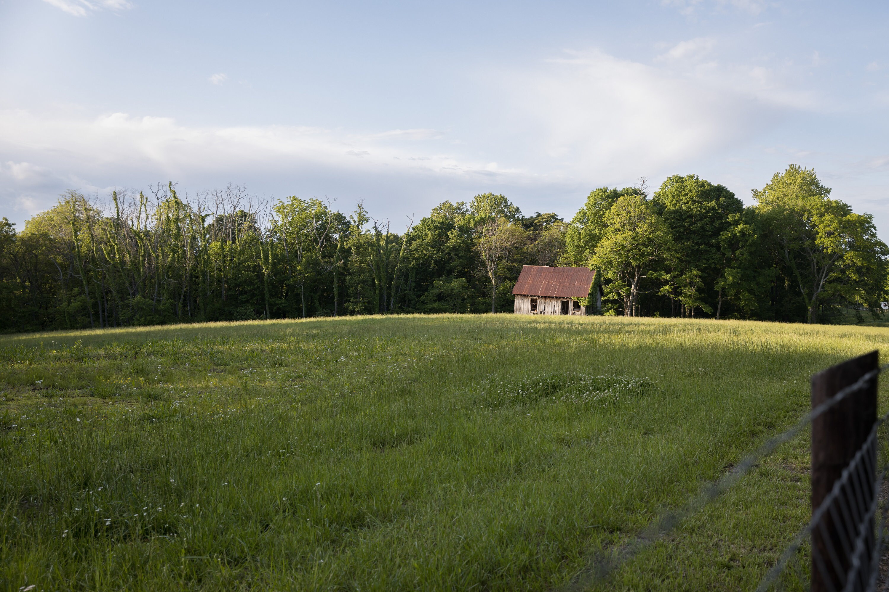 Barn Field Digital Background | Etsy