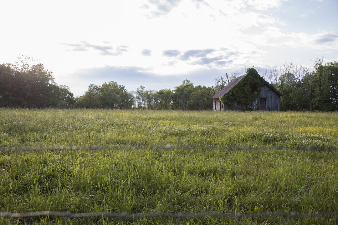 Barn Field Digital Background - Etsy