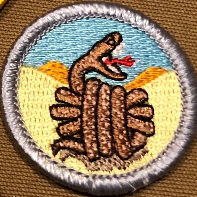 Bad Scout Badges - Funny Boy Scout Merit Patches - Etsy