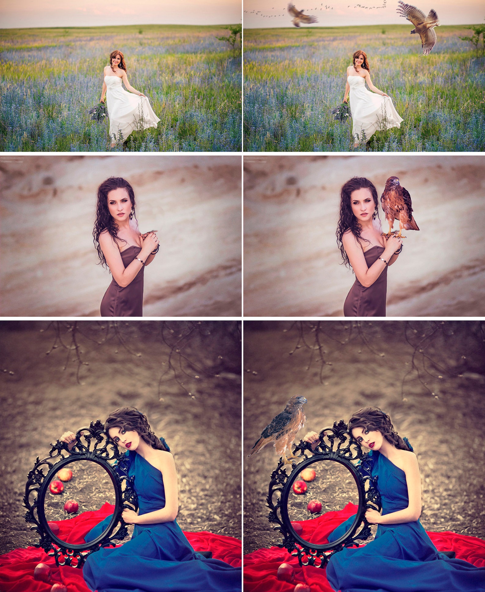 10 Eagle Falcon Realistic Bird Photo Overlays Photography - Etsy