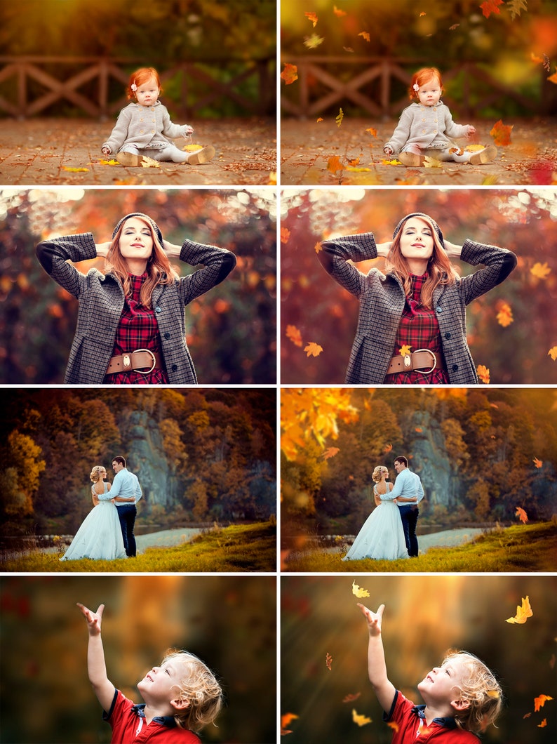 40 Autumn Leaves Photo Overlays, Falling Autumn Tree Leaves Effect ...