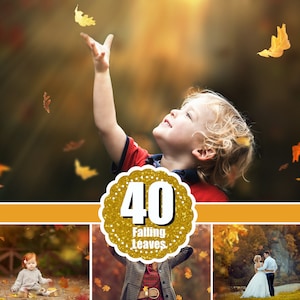 40 Autumn Leaves Photo Overlays, Falling Autumn Tree Leaves Effect ...