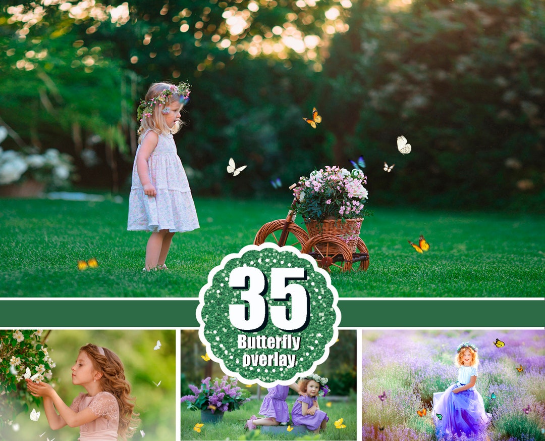 35 Butterfly Overlays, Photo Overlay, Realistic Natural Flying ...
