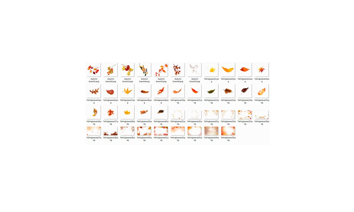 40 Autumn Leaves Photo Overlays Falling Autumn Tree Leaves - Etsy