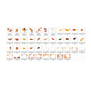 40 Autumn Leaves Photo Overlays, Falling Autumn Tree Leaves Effect ...