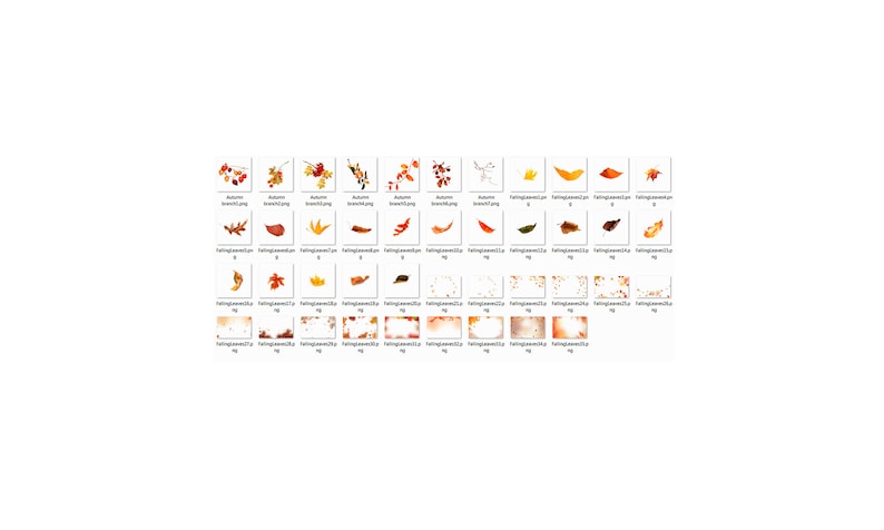 40 Autumn Leaves Photo Overlays Falling Autumn Tree Leaves - Etsy