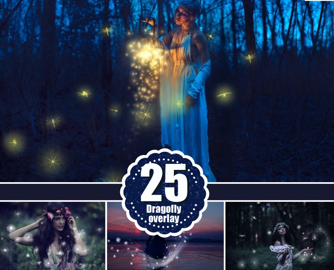 25 Dragonfly Firefly Butterfly Photo Overlays, Lightning Bug, Photoshop ...
