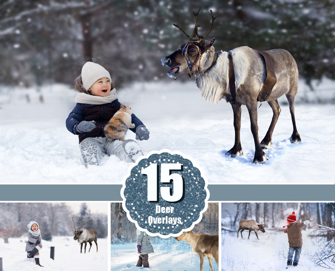 15 Deer Reindeer Photoshop Overlays, Forest Wild Animals Photo, Digital ...