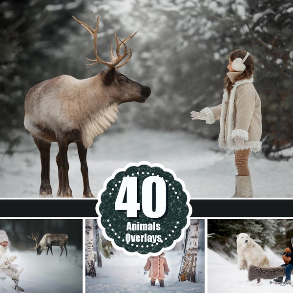 Reindeer Overlay - Etsy