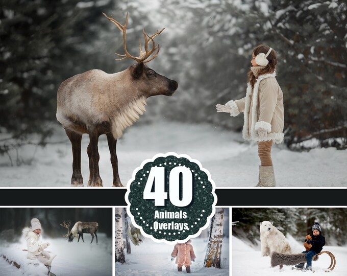 Elk Photoshop Overlays in PNG Format Digital Overlays, Animal Overlays ...