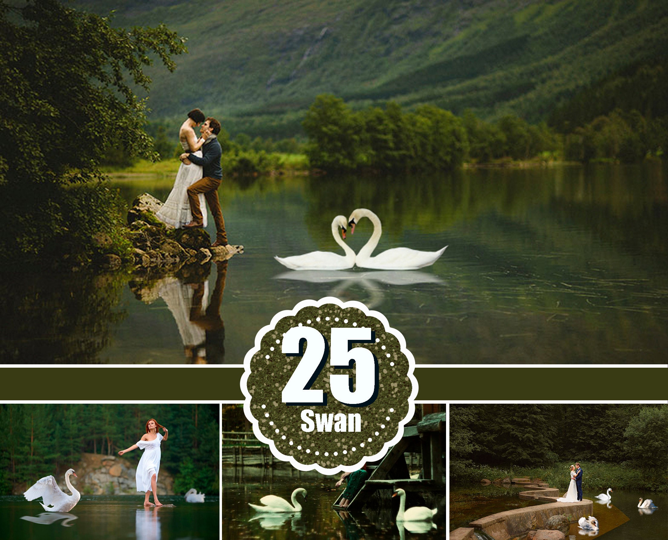 25 Swan Pelican Stork Water Bird Photo Overlays, Photography Overlay ...