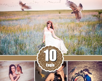 Eagle Overlay Photoshop - Etsy