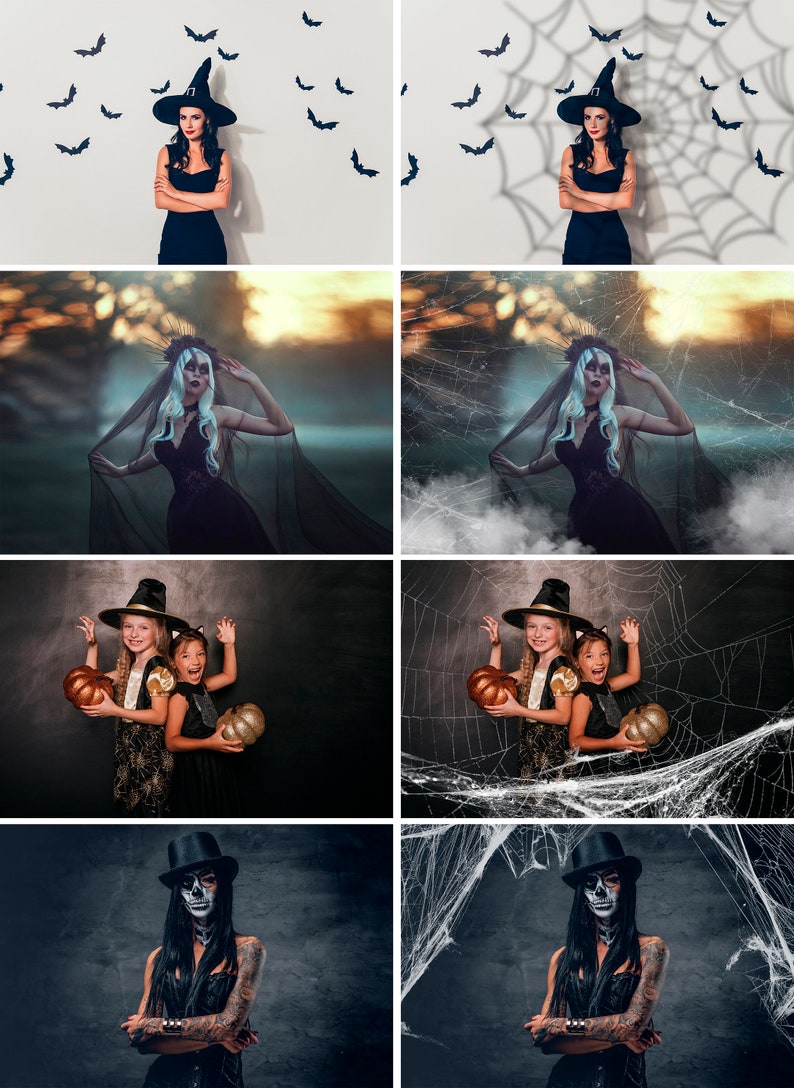 35 Cobweb Photo Overlays Photoshop Overlay Spider Web - Etsy