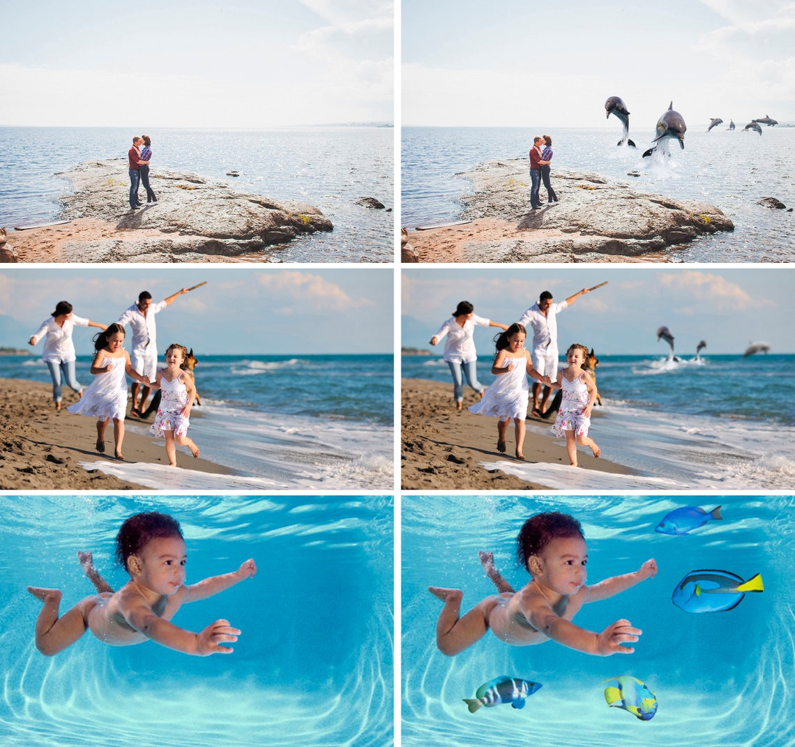 60 Sea Fish Animals Photo Overlays Clip Art Clipart - Etsy