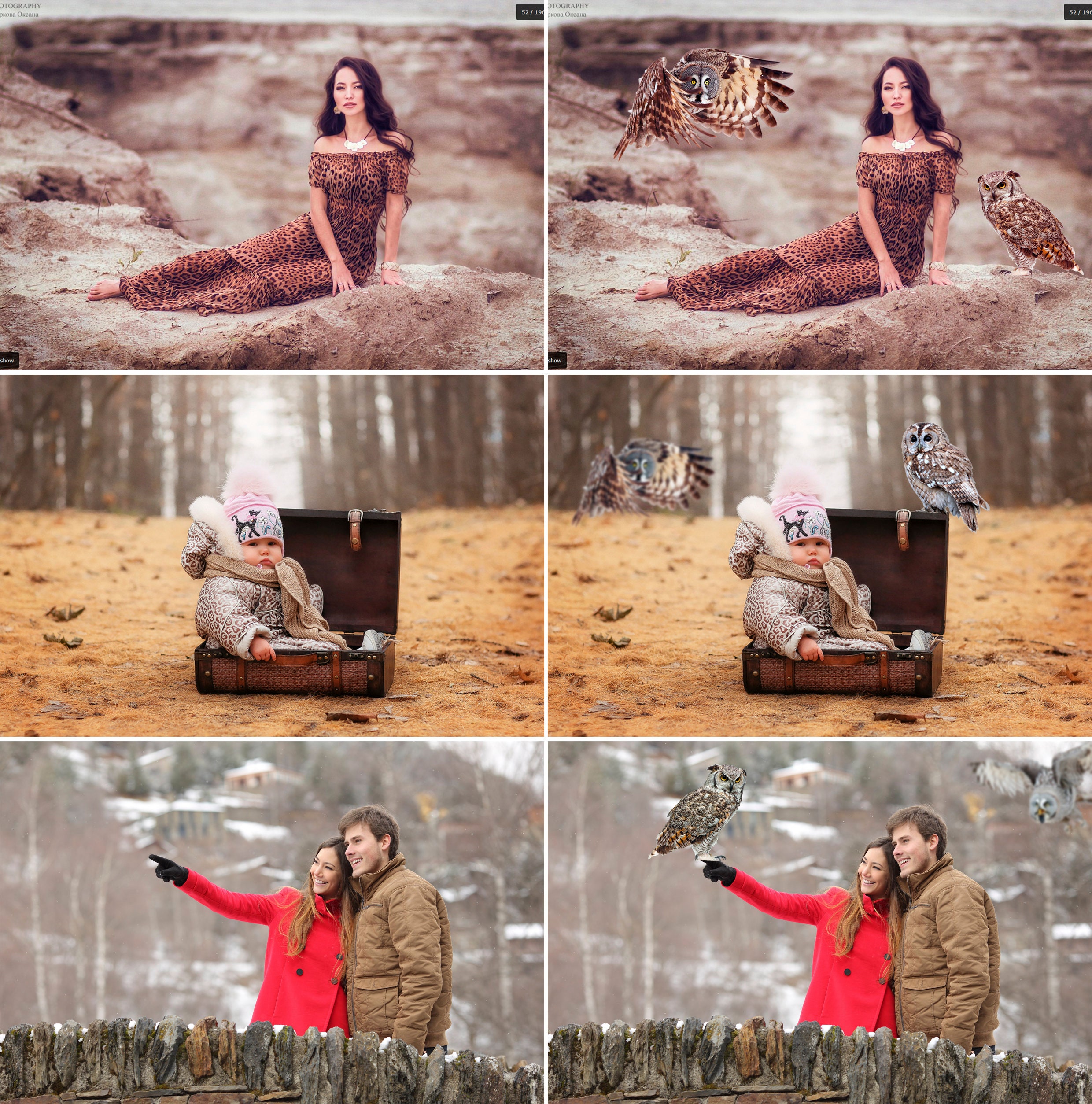 15 Owl Birds Photoshop Overlays, Realistic Animal Bird, Instant ...