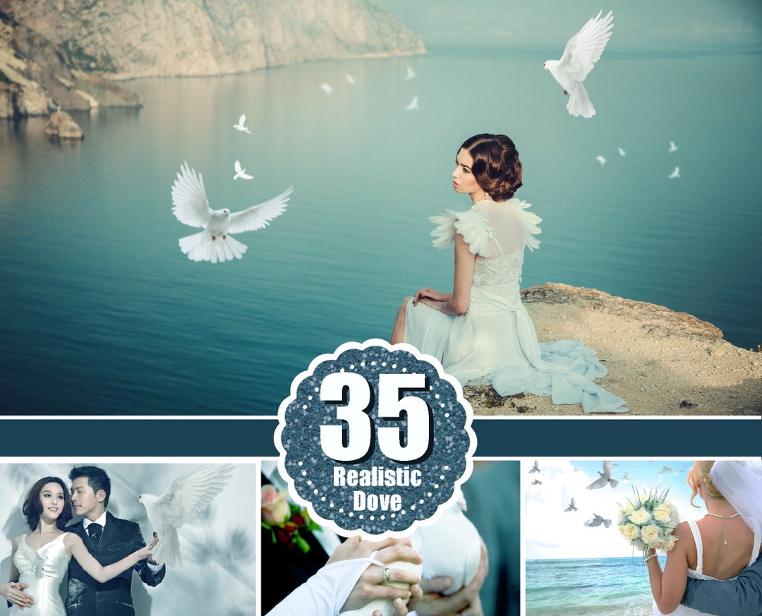 35 Pigeons Photoshop Overlays, Wedding Doves, Realistic Natural Birds ...