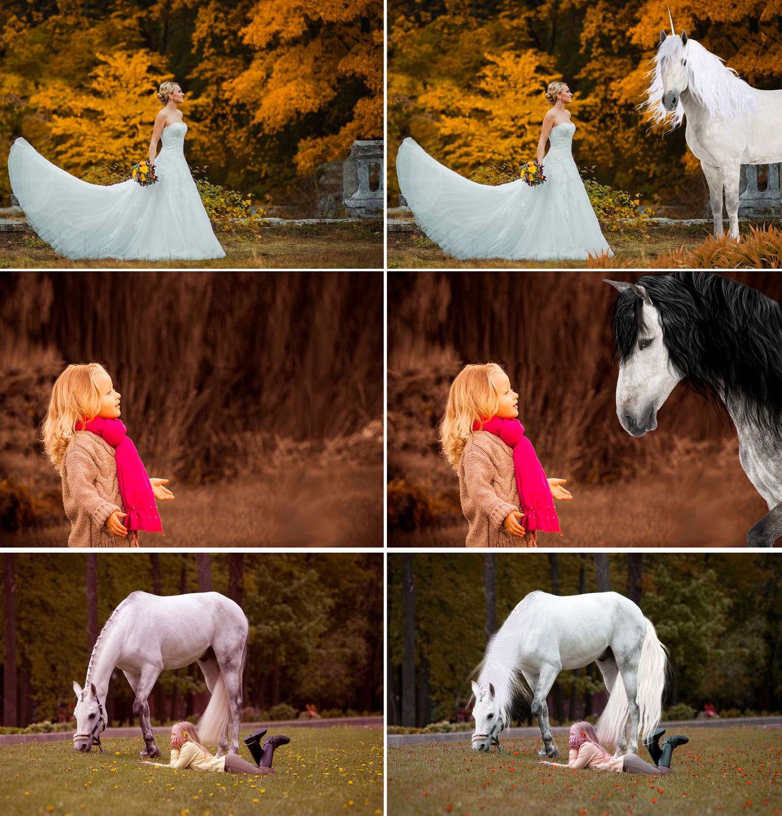 20 Majestic Unicorn Horse Overlays Realistic Animal White | Etsy