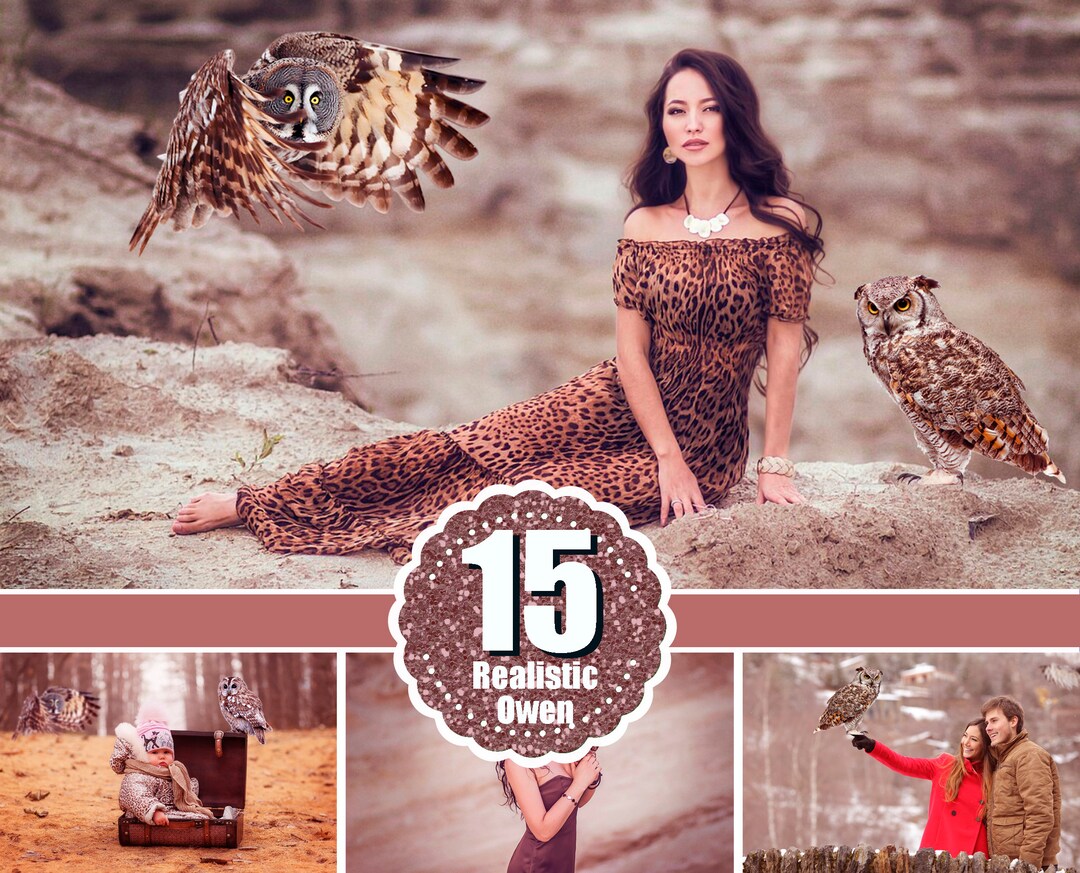 15 Owl Birds Photoshop Overlays, Realistic Animal Bird, Instant ...