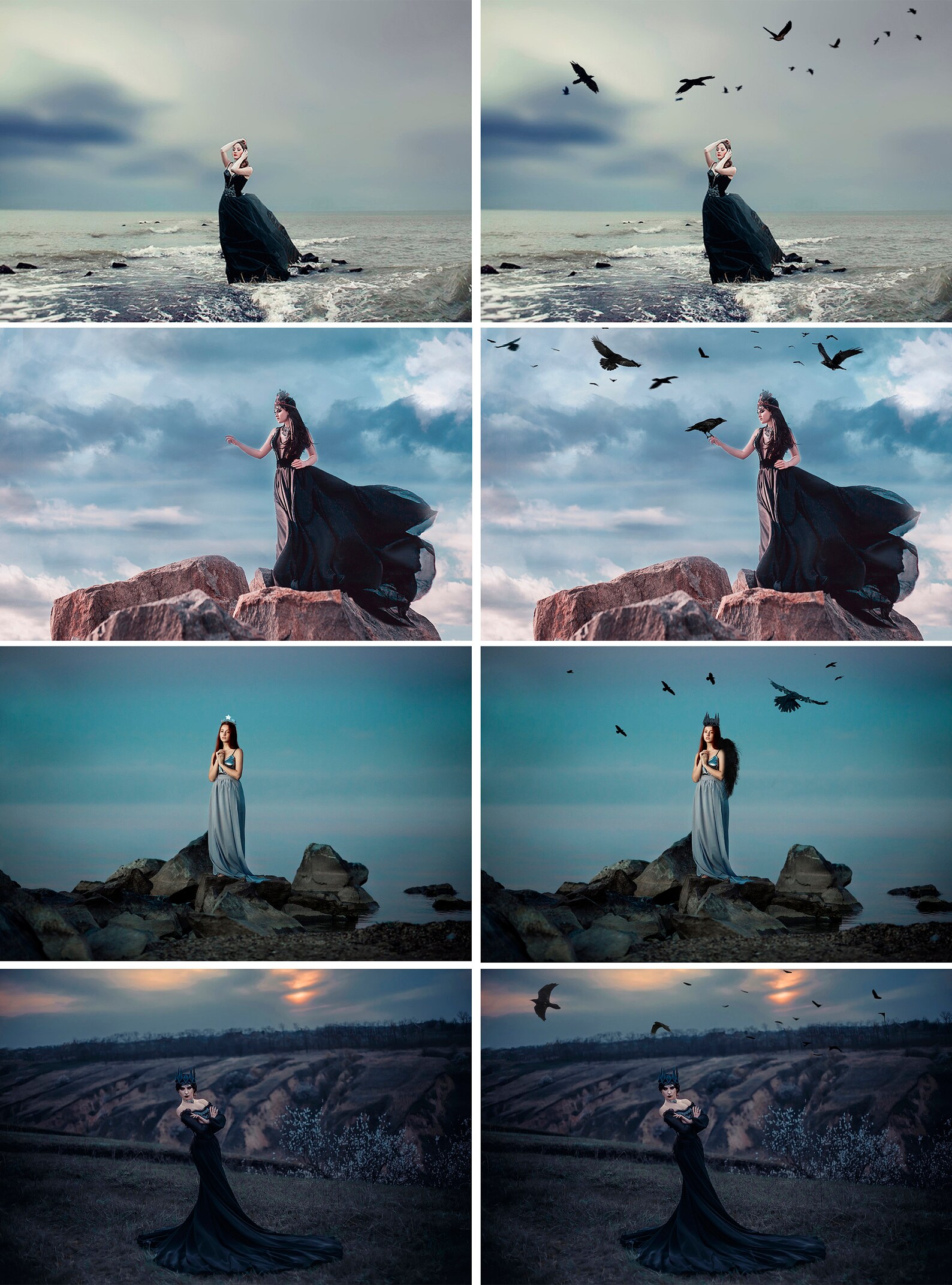 35 Realistic Raven Photoshop Overlays, Photoshop Overlays Bird, Crow ...