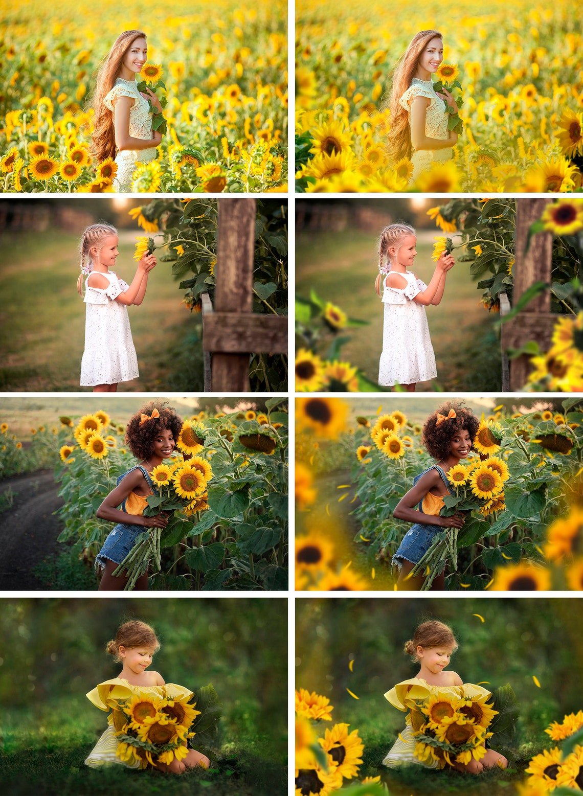 35 Sunflower Photo Overlays Flower Summer Spring Overlay | Etsy