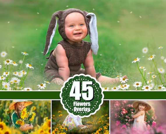 45 Summer Spring Flower Photo Photoshop Overlays Tulip - Etsy