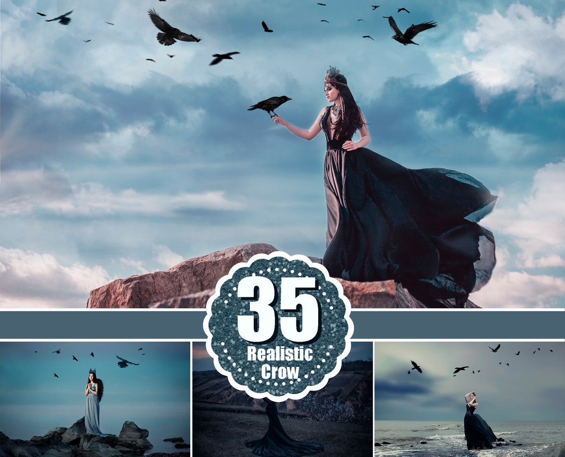 35 Realistic Raven Photoshop Overlays, Photoshop Overlays Bird, Crow ...