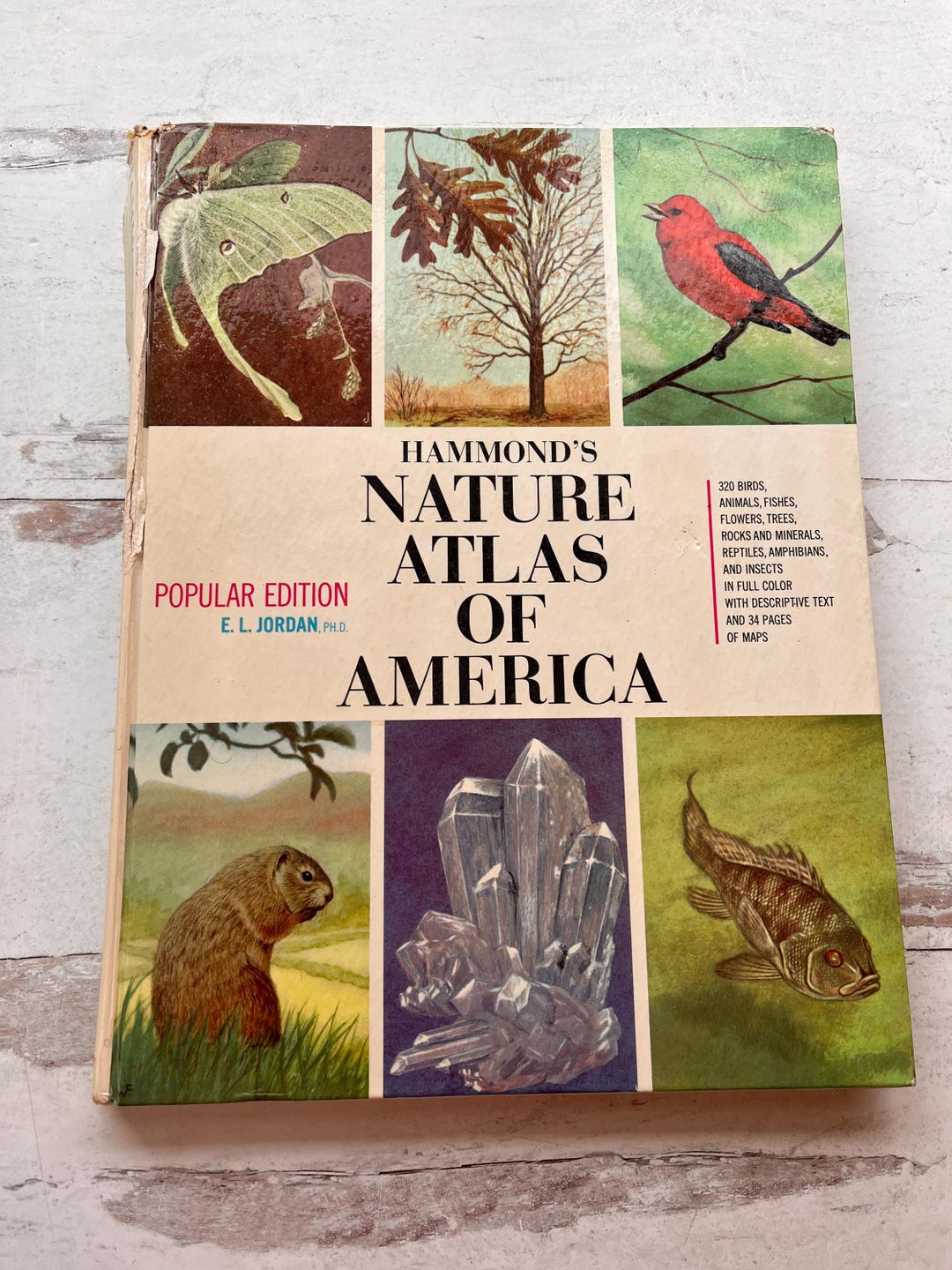 Hammond's Nature Atlas of America With 320 Paintings of Plants and ...