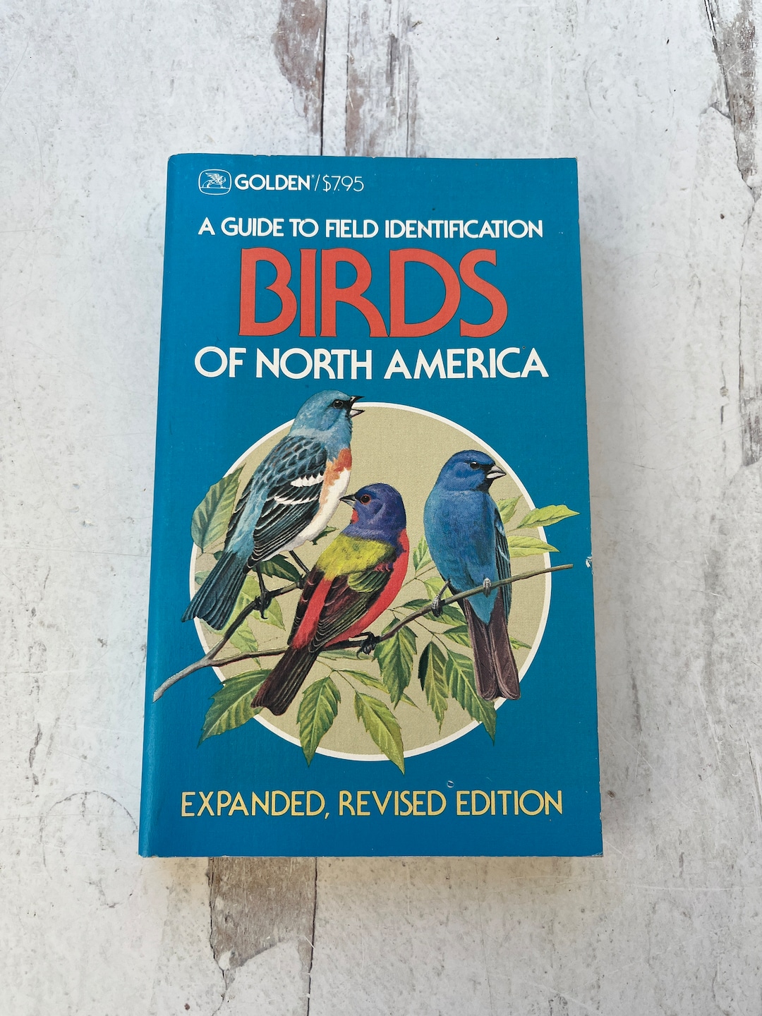 Golden Field Guides Birds of North America Paperback Nature Guide Book ...