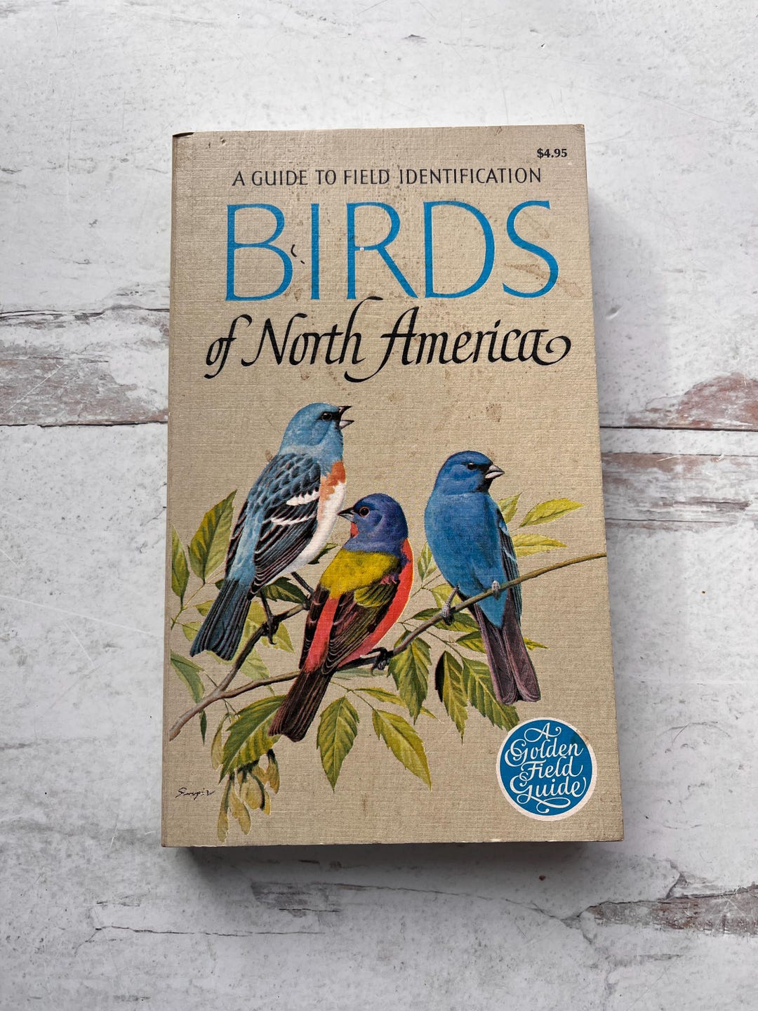 Birds of North America A Golden Field Guide in Fair Used Condition With ...