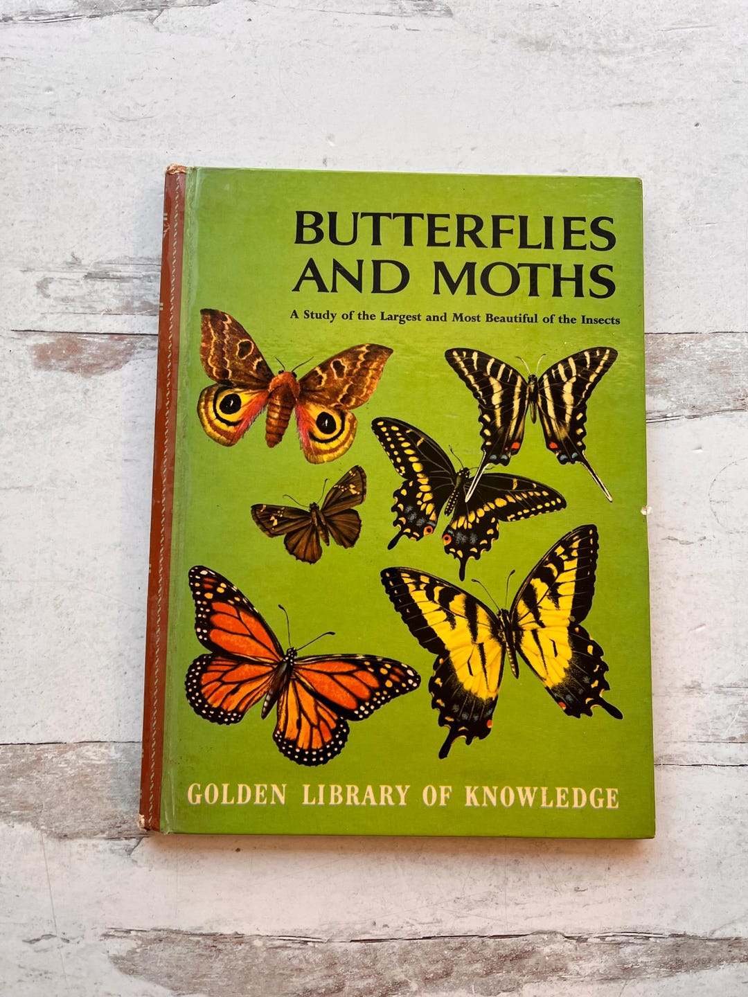 Butterflies and Moths Golden Library of Knowledge in Good Used ...