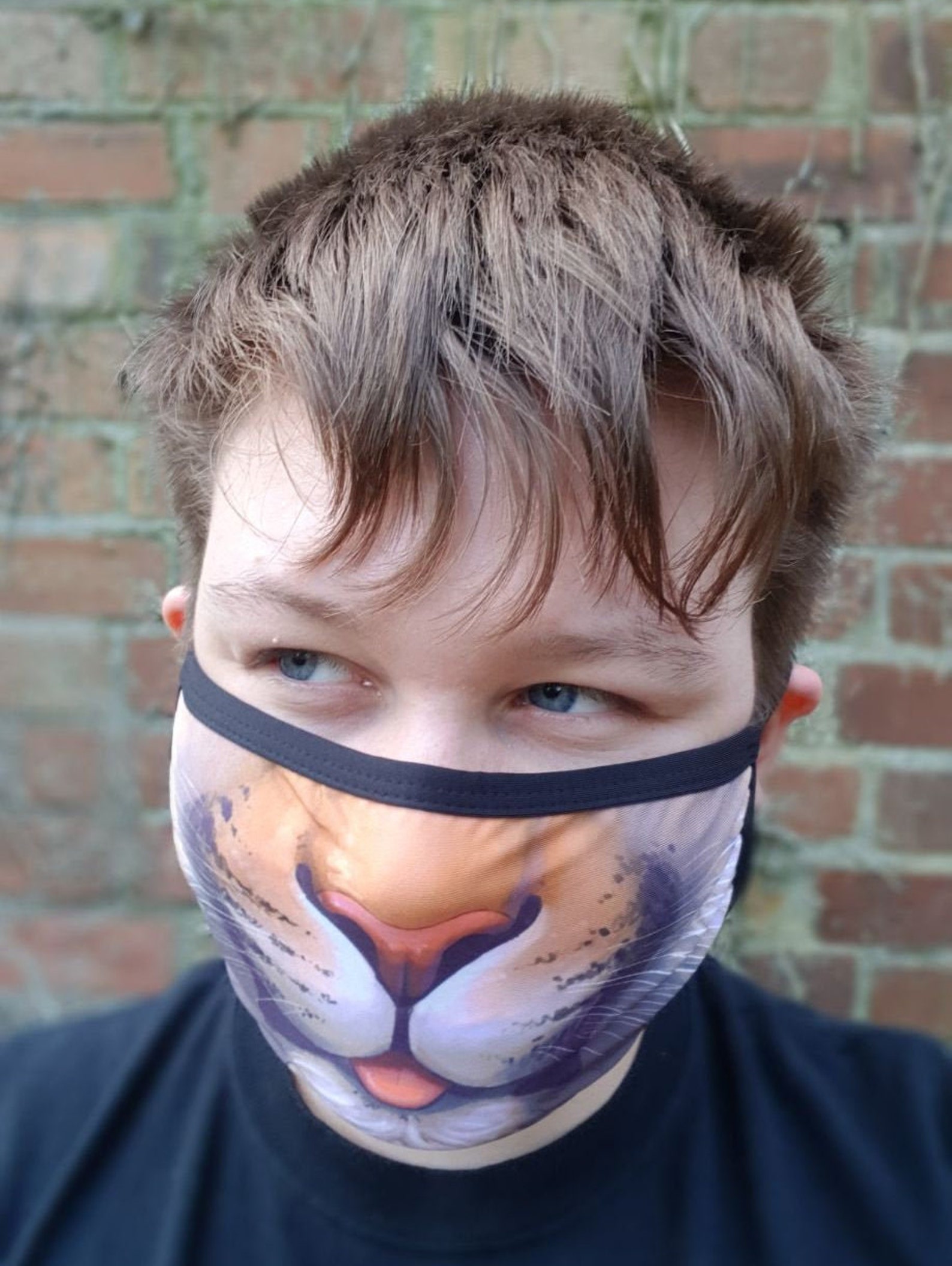 Tiger & Hyena Furry Face Masks | Etsy