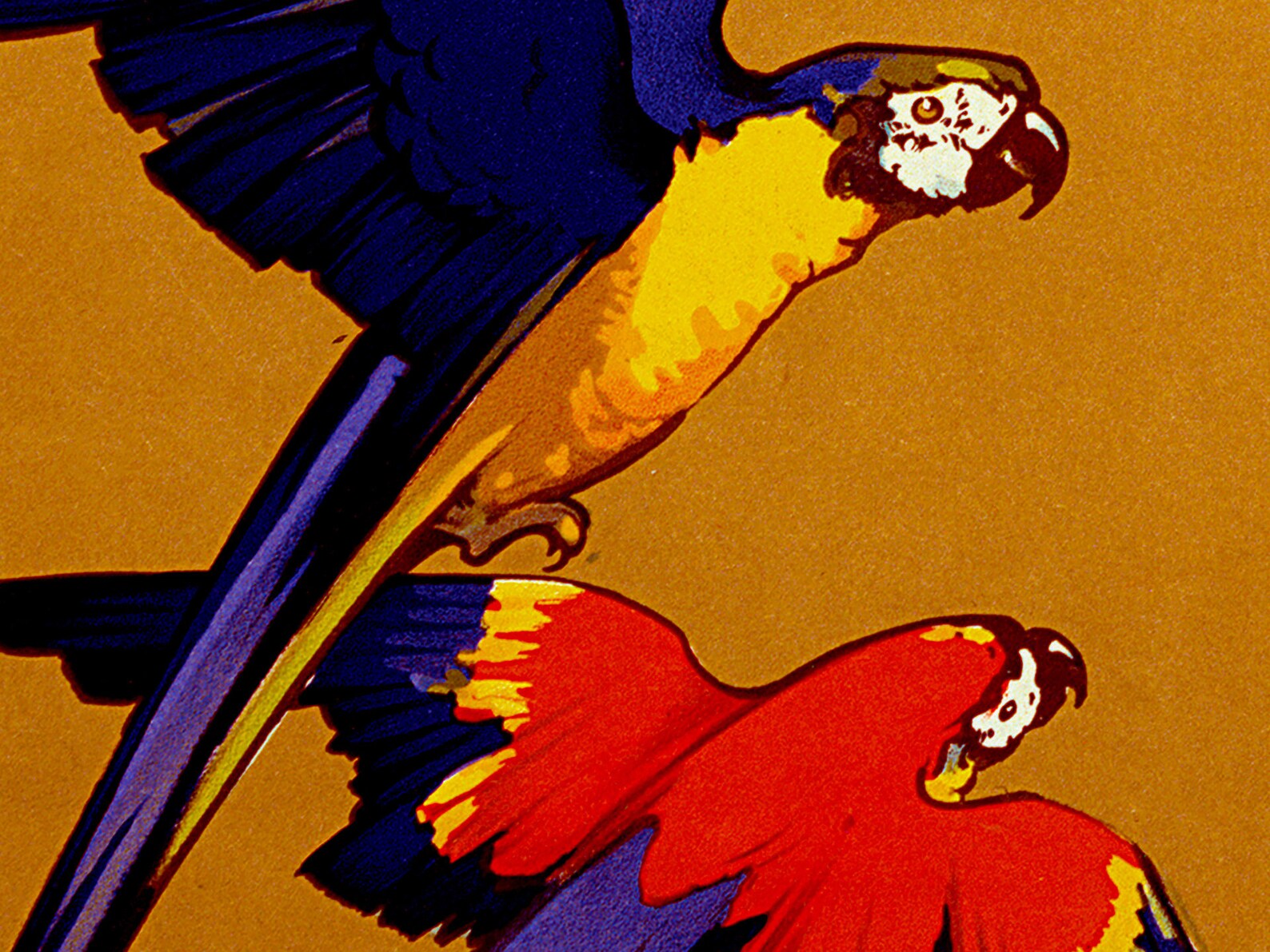 1930s Booth Line Amazon River Cruise Vintage Style Travel - Etsy