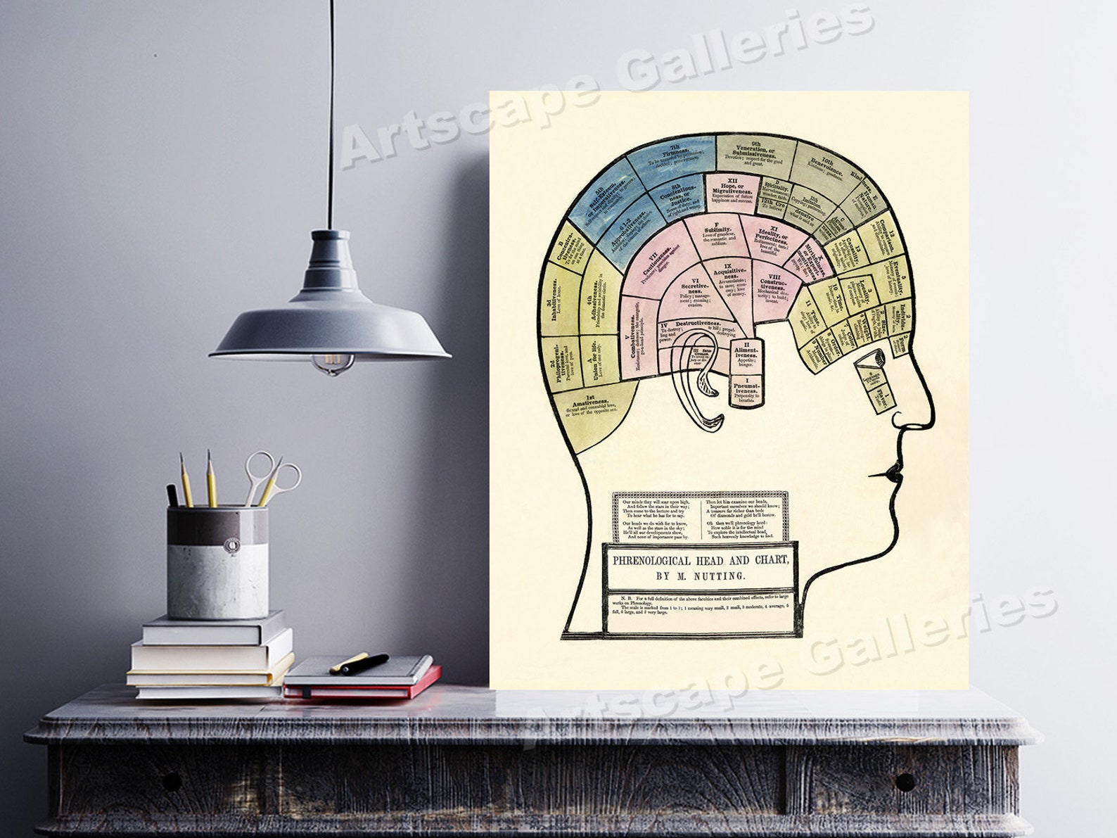 Phrenology Chart 1857 Vintage Style Medical Print - Etsy