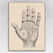 PALMISTRY PRINT - Palmistry Art Poster - Chiromancy Art Print - Palm ...