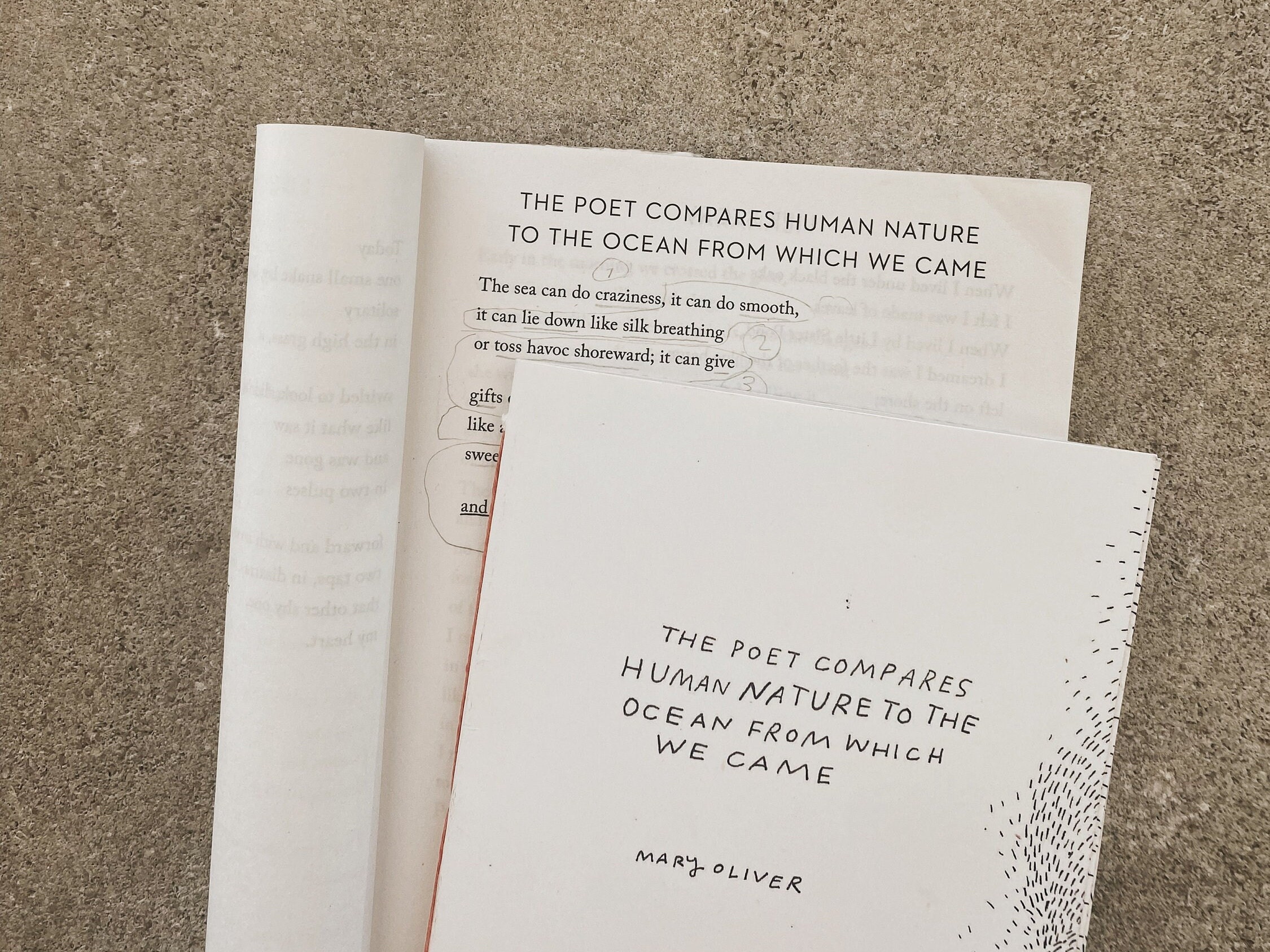 Mary Oliver Poem About the Sea - Etsy