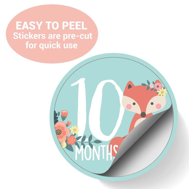 Baby Monthly Stickers | Woodland Animal Baby Milestone Stickers ...