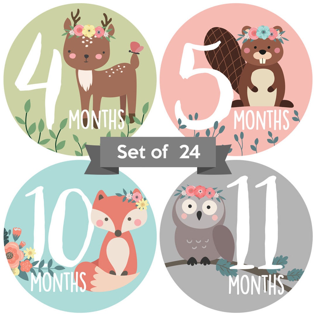 Baby Monthly Stickers | Woodland Animal Baby Milestone Stickers ...