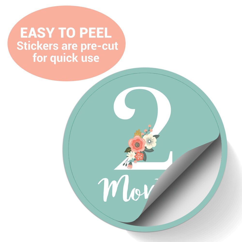 Baby Monthly Stickers Pink & Teal Floral Baby Milestone - Etsy
