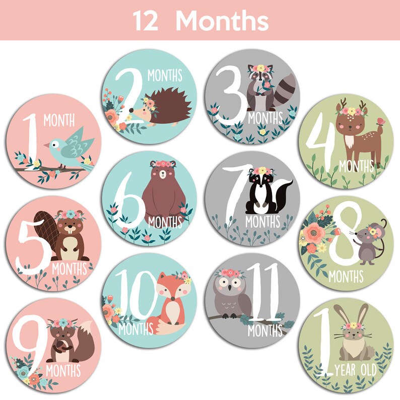 Baby Monthly Stickers | Woodland Animal Baby Milestone Stickers ...