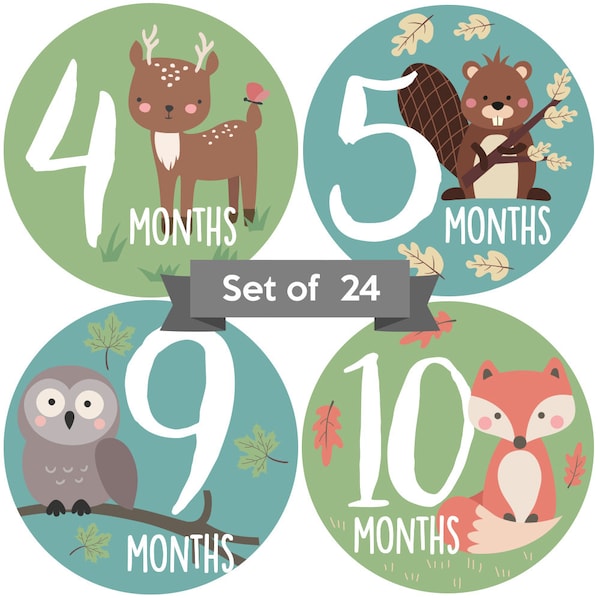 Baby Boy Month Stickers - Etsy