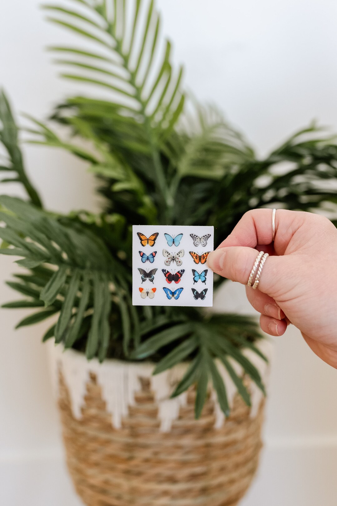 LMSS® Sticker - 3x4 Butterfly Chart | Butterfly Sticker | Trendy ...