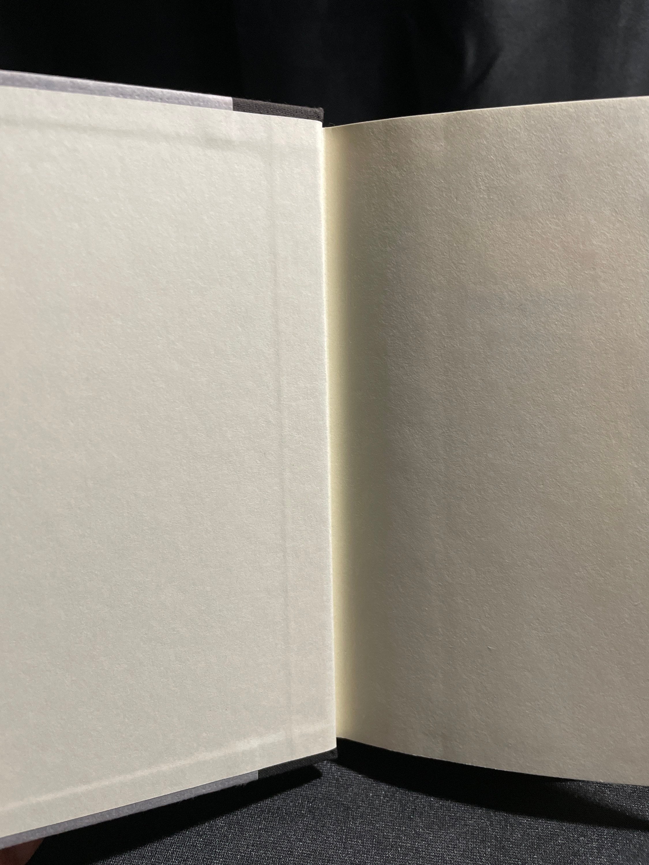 Autobiography of a Face by Lucy Grealy - Etsy